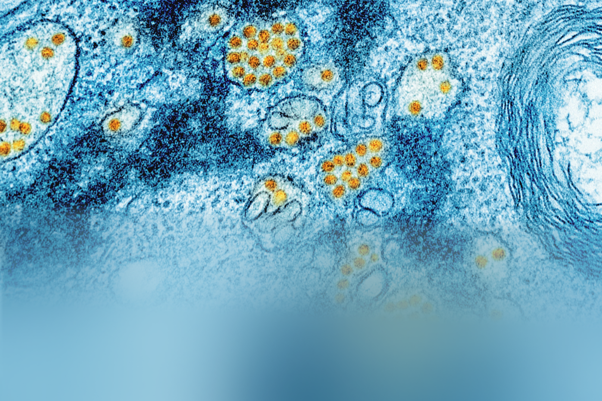 DIM (Diindolylmethane): What It Is and How It Supports Hormone Balance ...